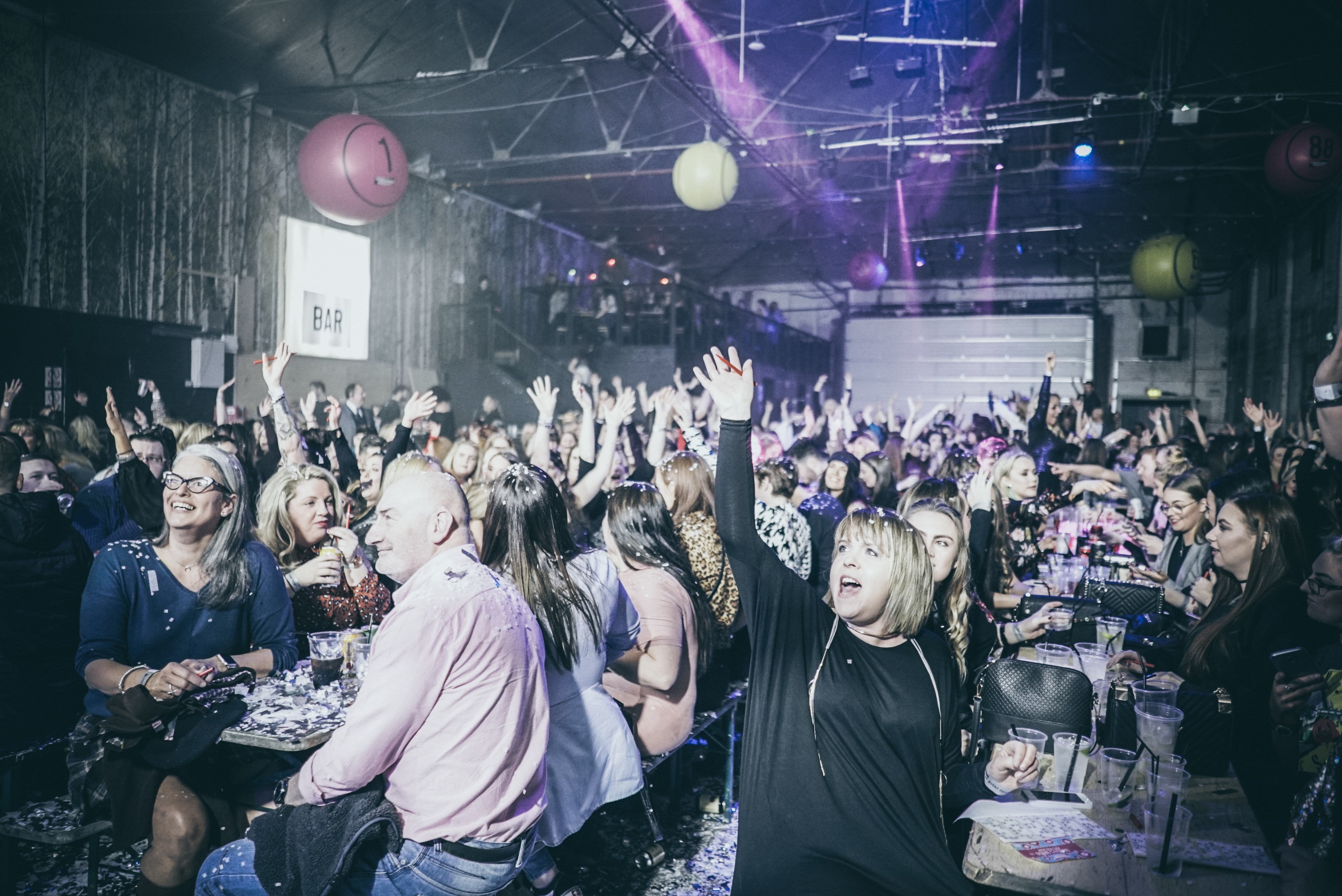 Bongos Bingo - Image Gallery